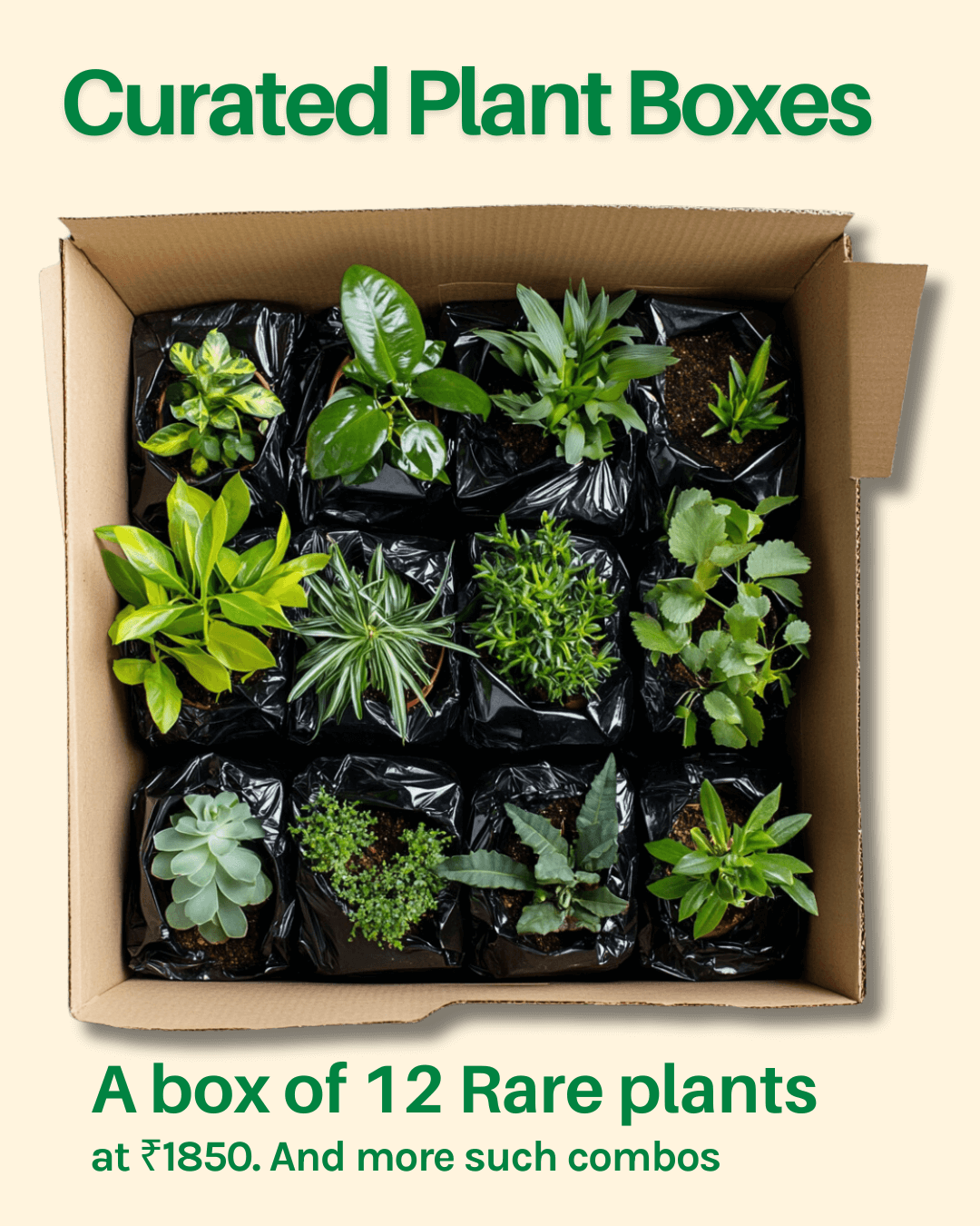 Plant Combos – Growcerys